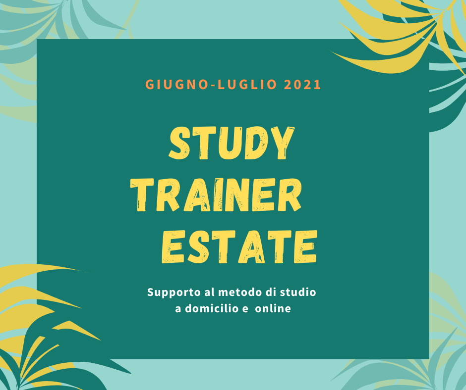 STUDY TRAINER ESTATE